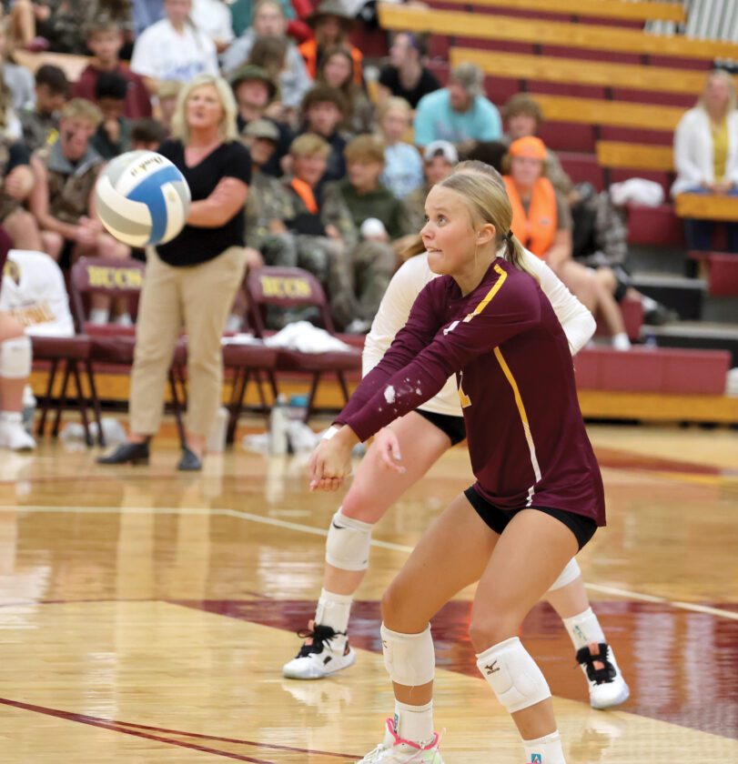 Bluejays hold on for win over Buccaneers | News, Sports, Jobs ...